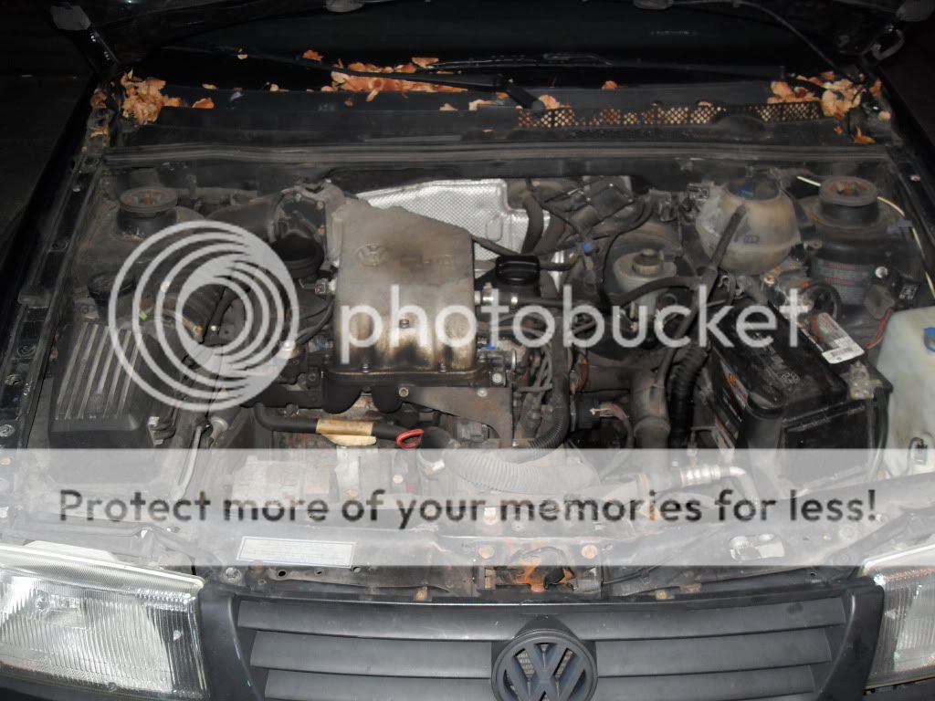 Fs aba obd ii swap | VW Vortex - Volkswagen Forum